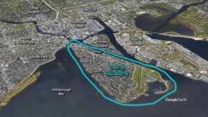 Davis Island Tampa: Detailed Guide